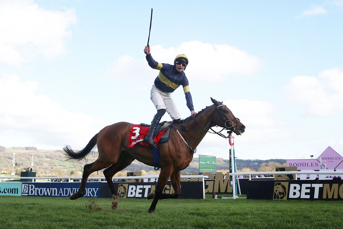Cheltenham Day Two report: Mourne Rambler is a winner for NI owner ...