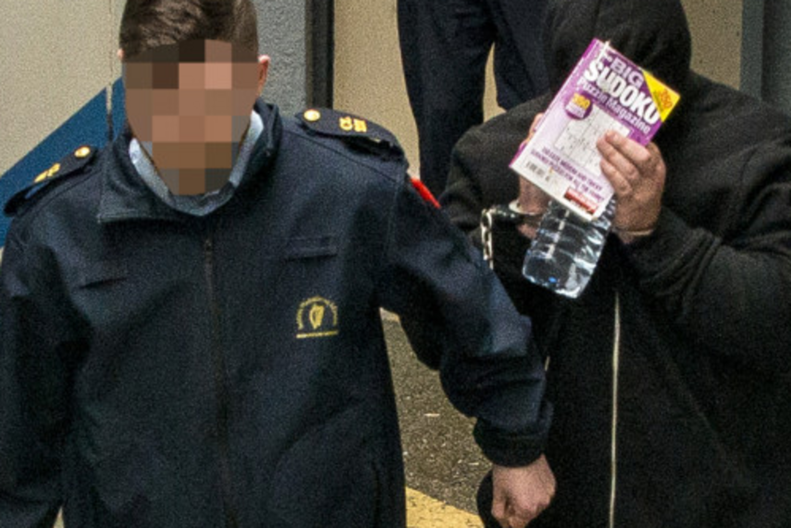 Tiger kidnap kingpin and two others caged for 7 years over €2.2m cash ...