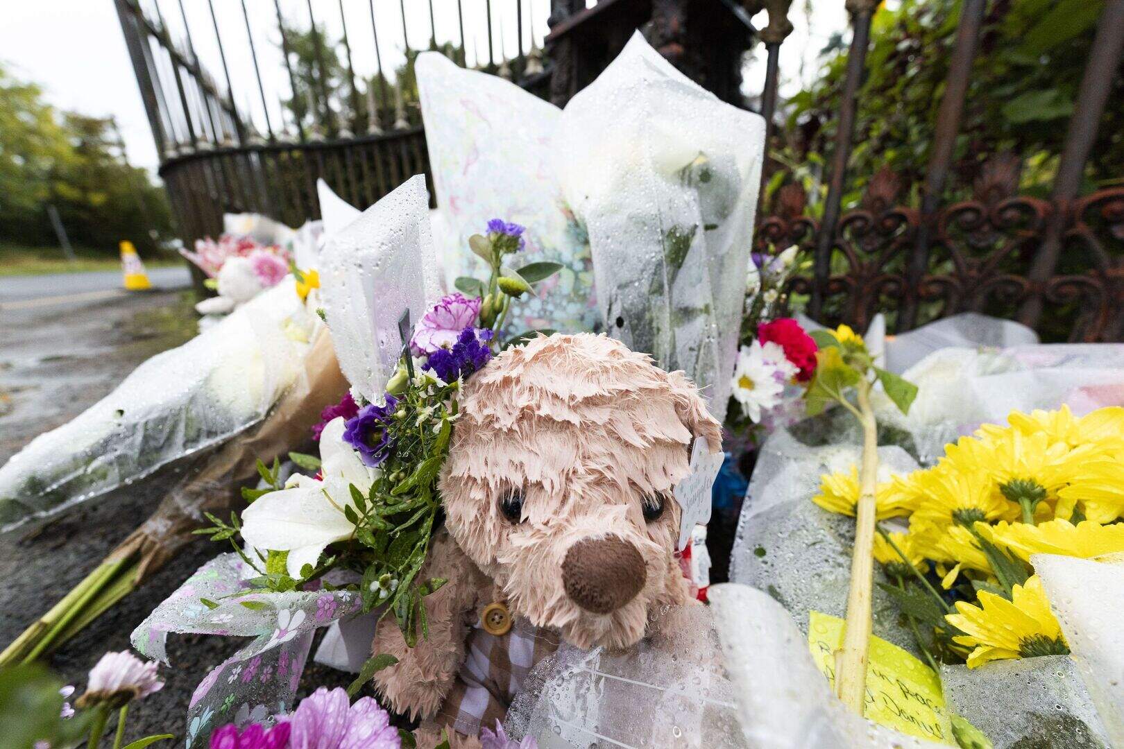 Post-mortem on child remains found in Donabate fails to establish cause ...