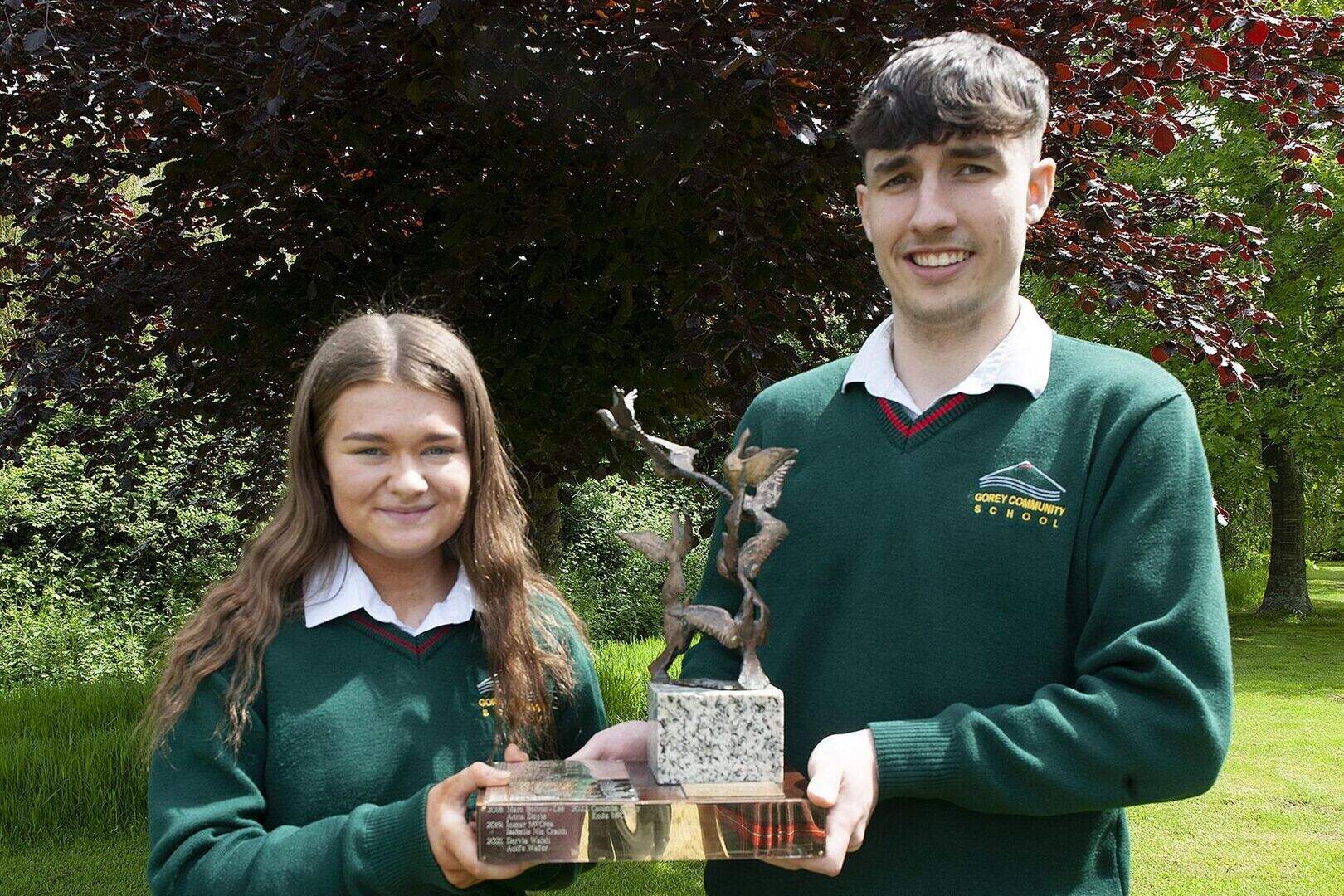 Gorey Community School puts student achievement in the spotlight at ...