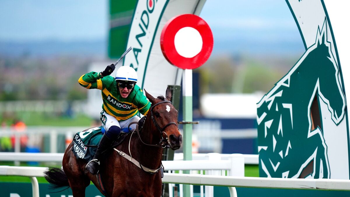 Aintree Grand National 2025: A pinstickers’ guide and verdict for ...