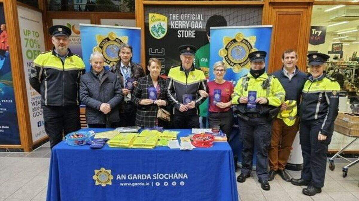 Kerry Gardaí issue safety tips for Christmas | Irish Independent