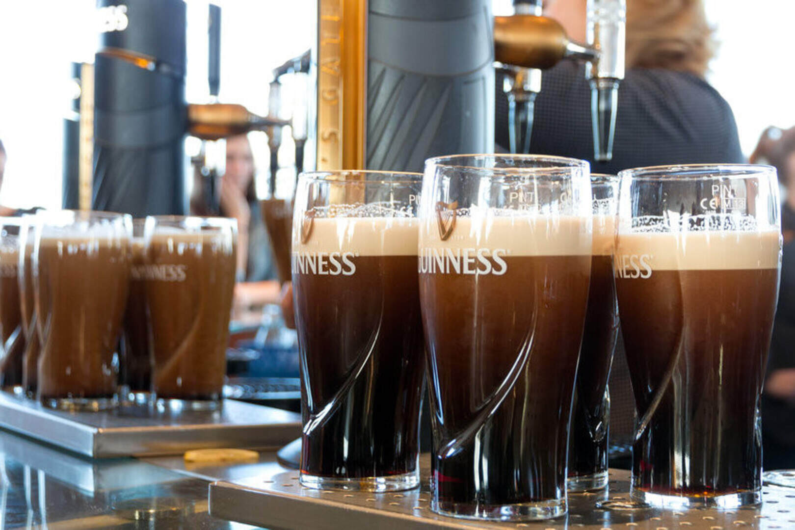 Cows save 35m pints of beer from going down the drain | Irish Independent