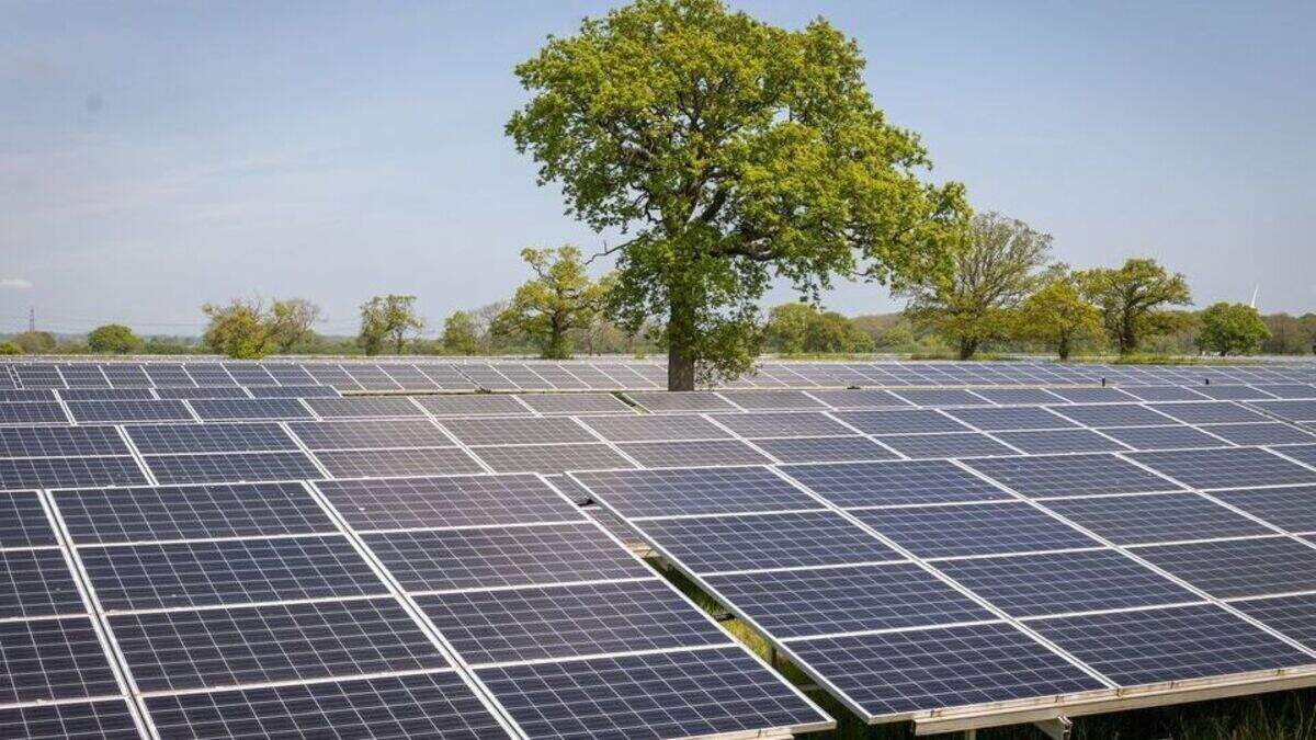 Large solar farm on north Cork farmland given the green light | Irish ...