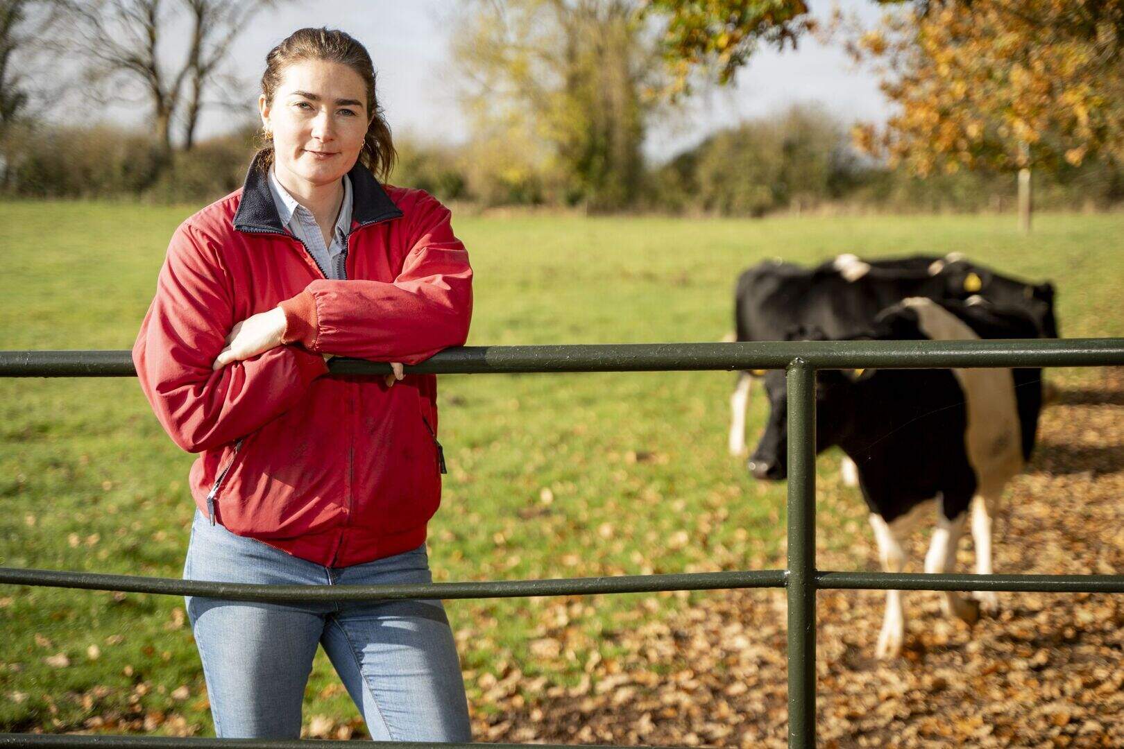 ‘Introducing an age cap on tax reliefs could kickstart early farm ...