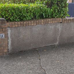 ‘My front wall has a huge crack because of the roots’ – Dublin ...