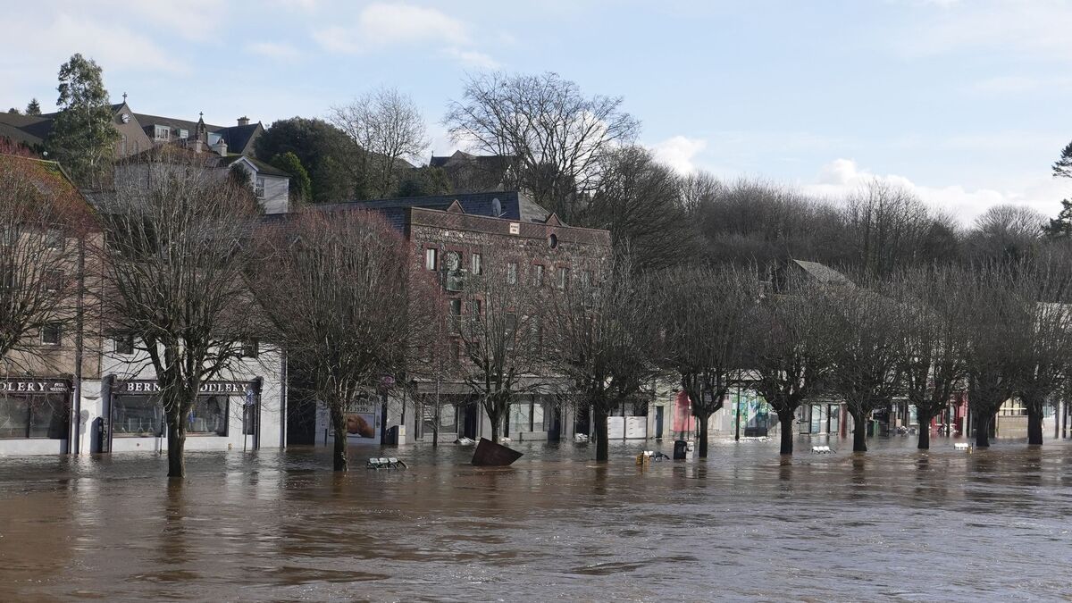 €2.6m in funding for ‘interim flood defence’ works in Wexford – ‘Now ...