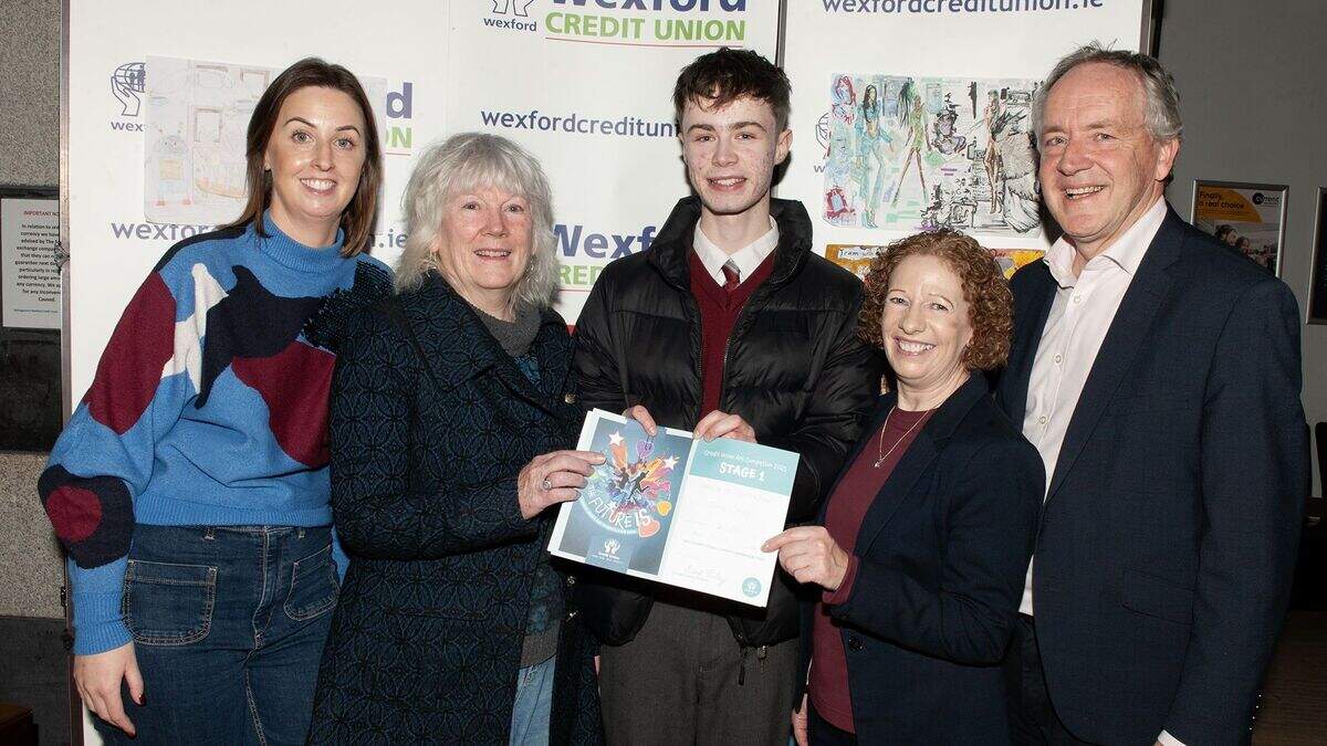 Wexford student progresses to the national finals of Credit Union art ...