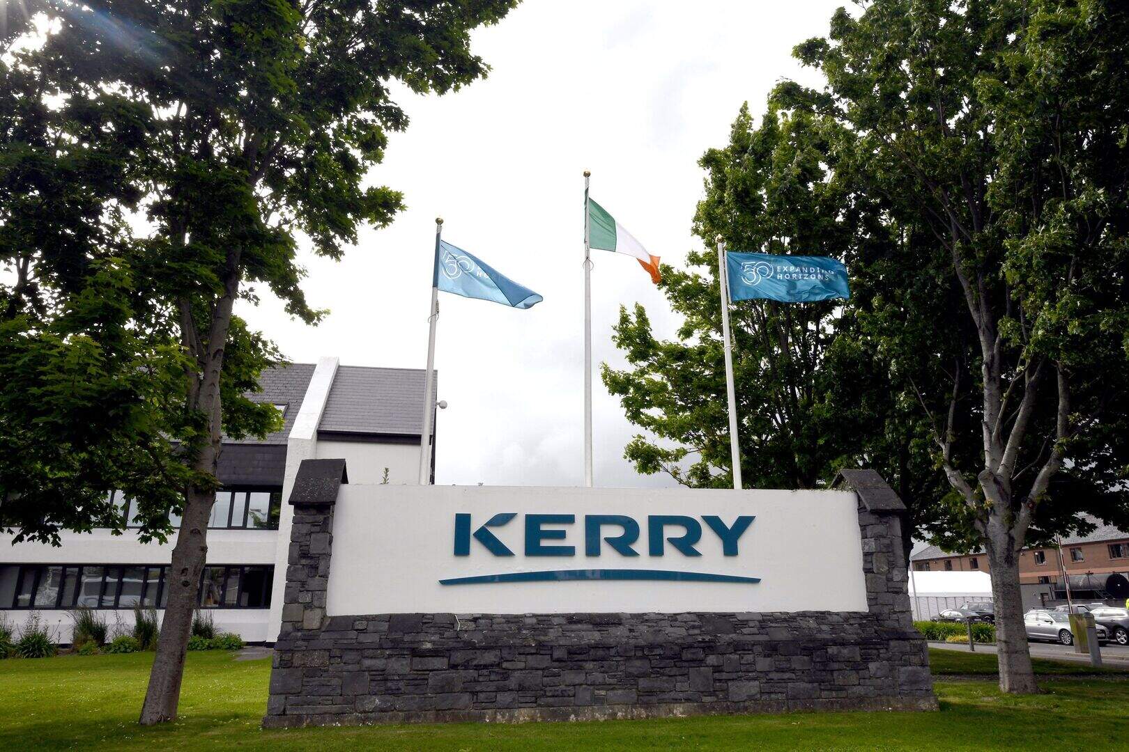 Food business was €1.2bn ‘cash cow’ for Kerry Group expansion, former ...