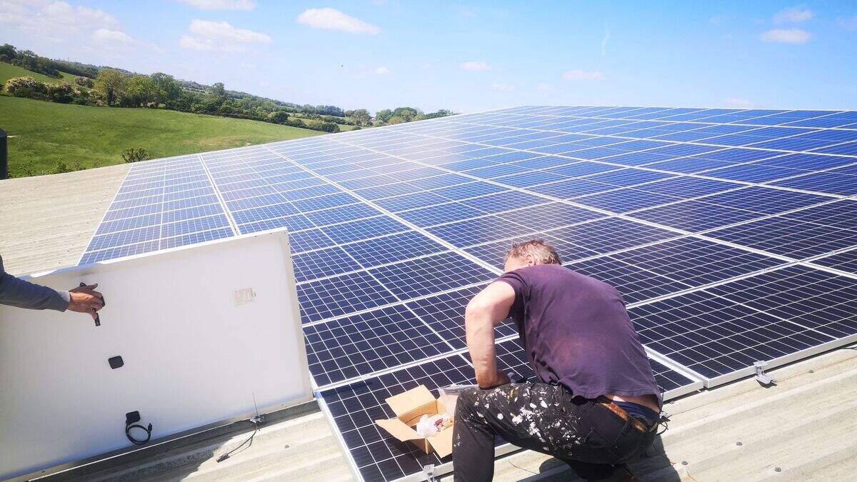 Darragh McCullough: I’ve exported €8,500 of power back to the grid ...