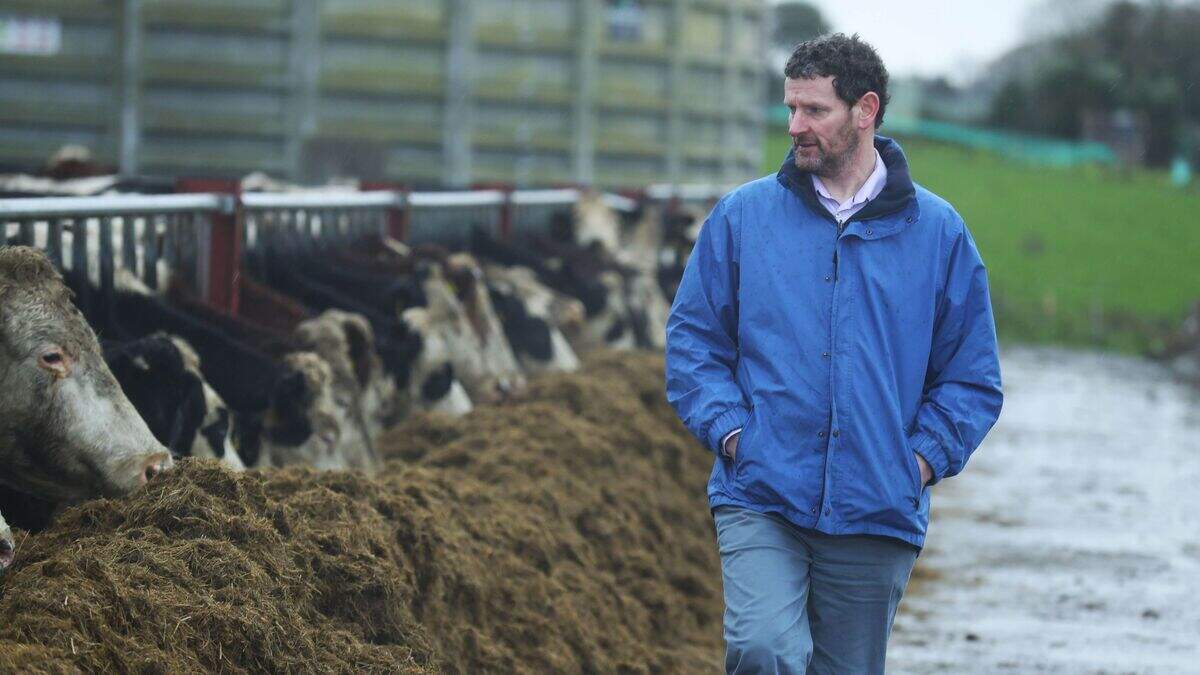 ‘Better for farmers to be in derogation than exporting slurry to avoid ...