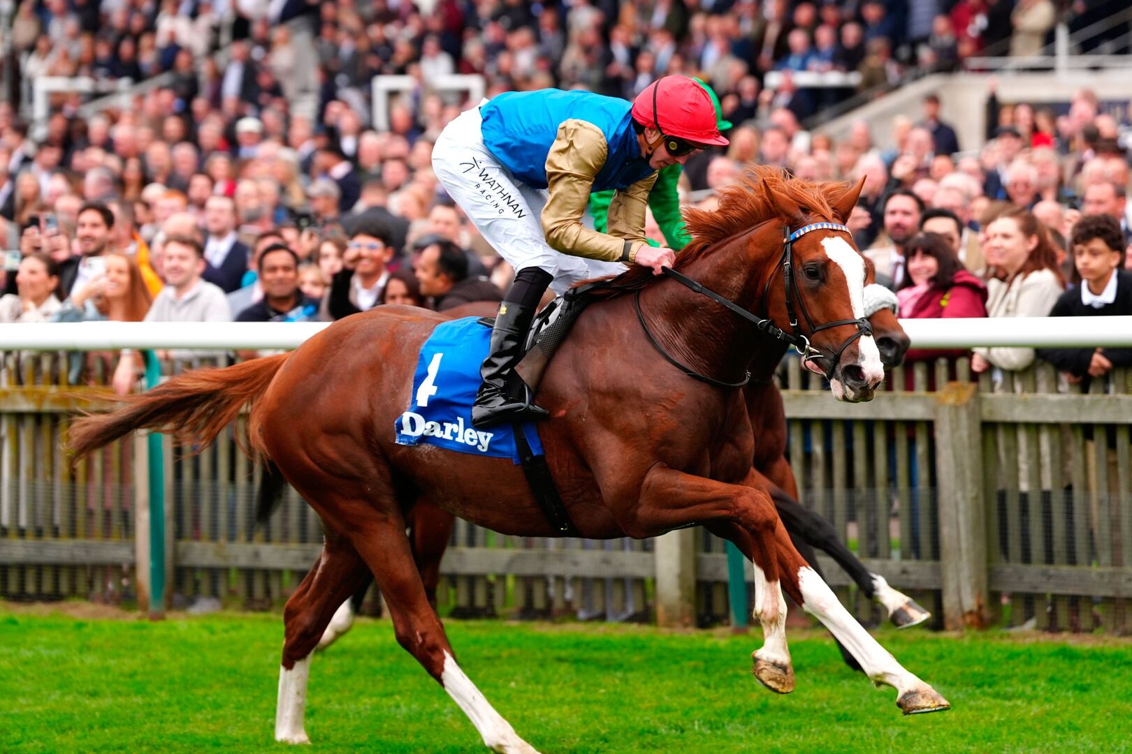 Wayne Bailey: Damysus to crown comeback after Derby flop with Lockinge ...