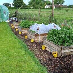 Wicklow’s newest community garden hosting Saturday open day | Irish ...