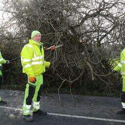 Storm Éowyn in Cork: Response to damage caused by strong winds will ...