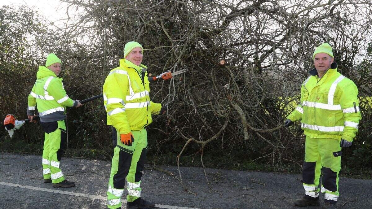 Storm Éowyn in Cork: Response to damage caused by strong winds will ...
