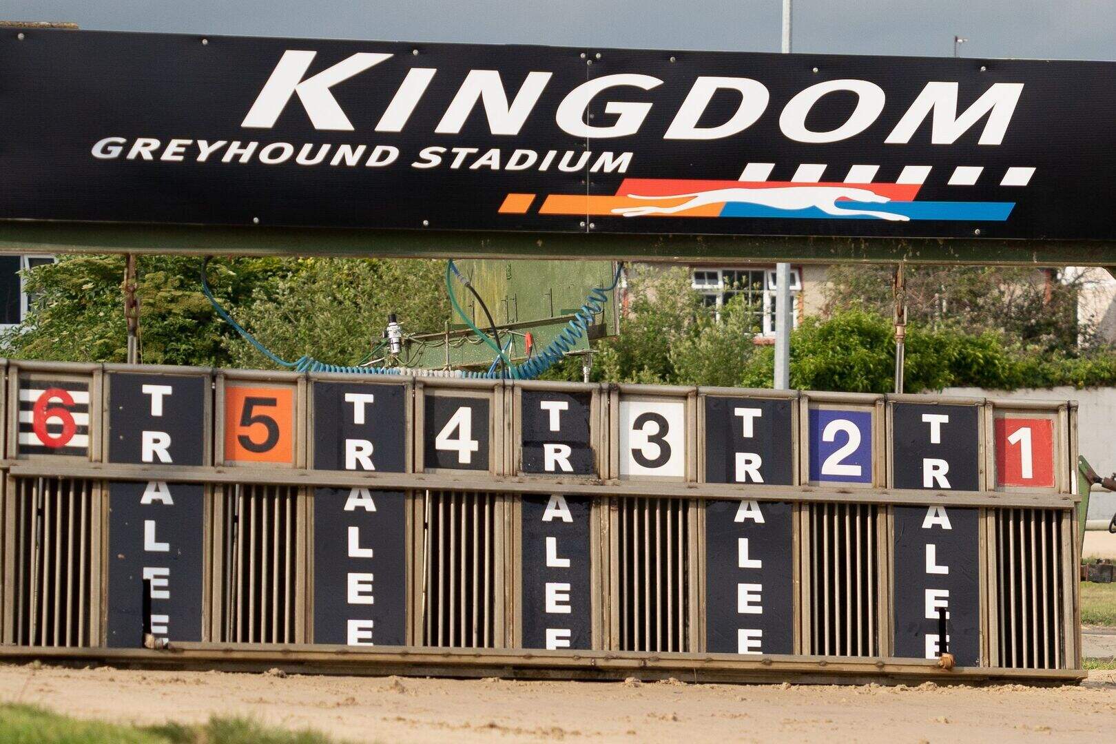Five greyhounds eliminated from Novice 3 525 at Tralee track for ...