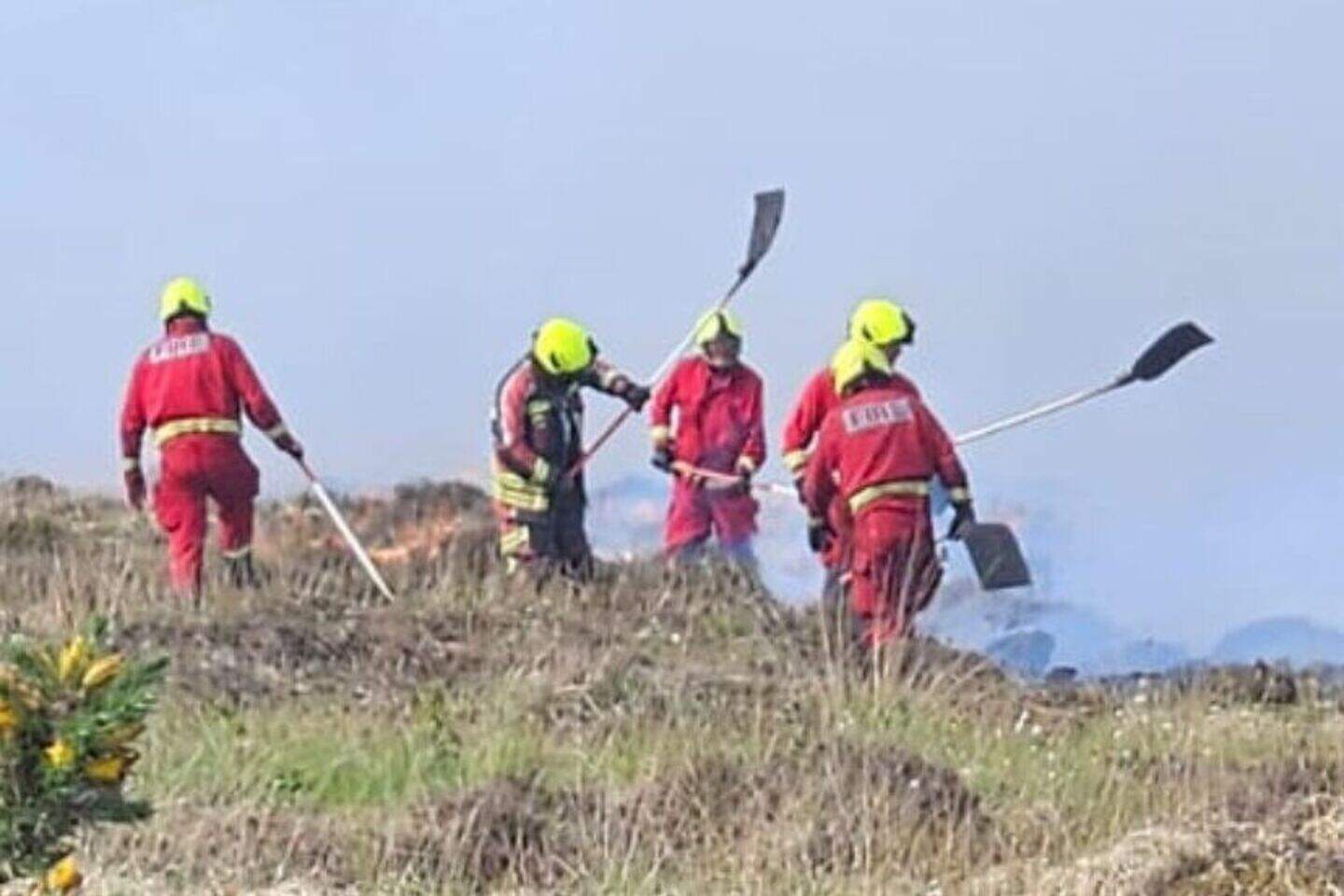 Roscommon’s Climate Story: County scarred by unprecedented forest fires ...