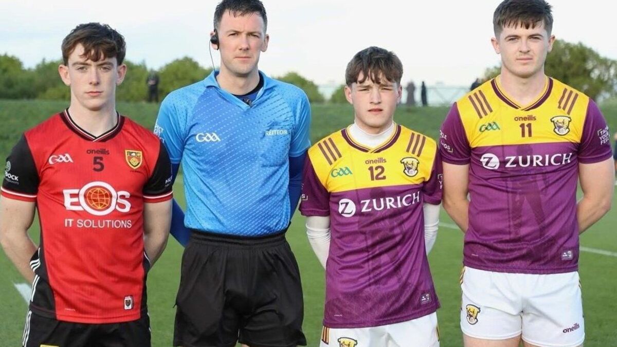 Wexford’s All-Ireland hopes are dashed by fine Down second-half | Irish ...
