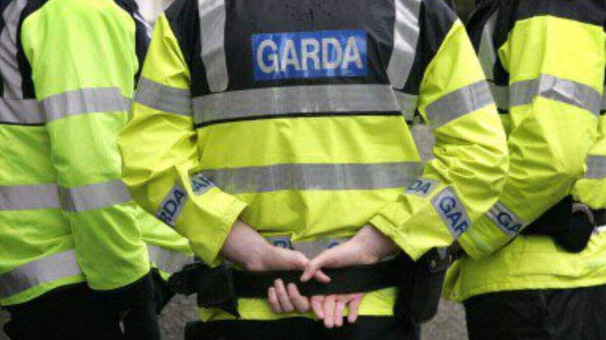 Concern over shortage of gardai in Louth area | Irish Independent