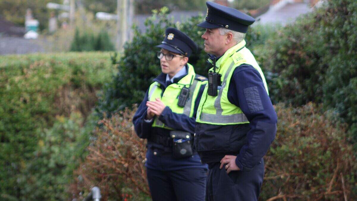 Three suspected rogue traders arrested in Cork after elderly woman pays ...