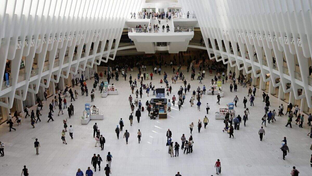 Big Apple dwellers crunch to core of life's data | Irish Independent