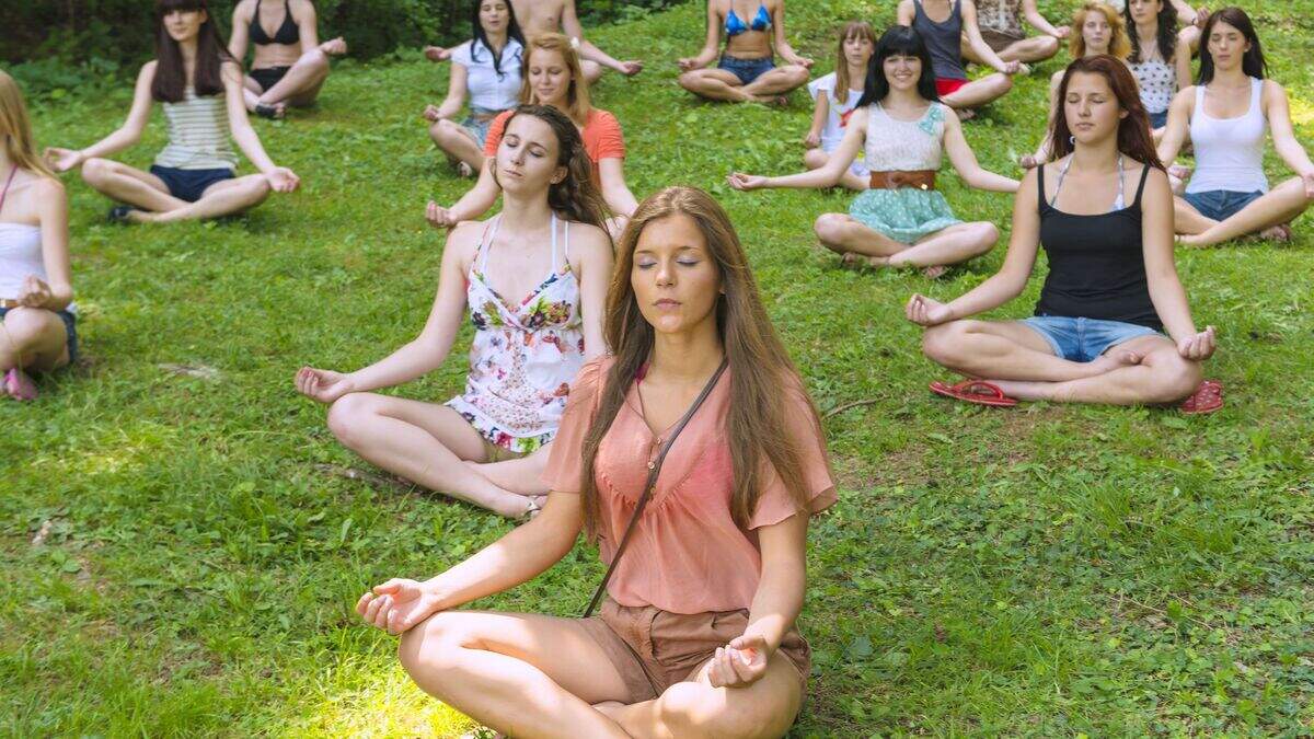 The origins of modern yoga: Half-truths, false lineages and white ...