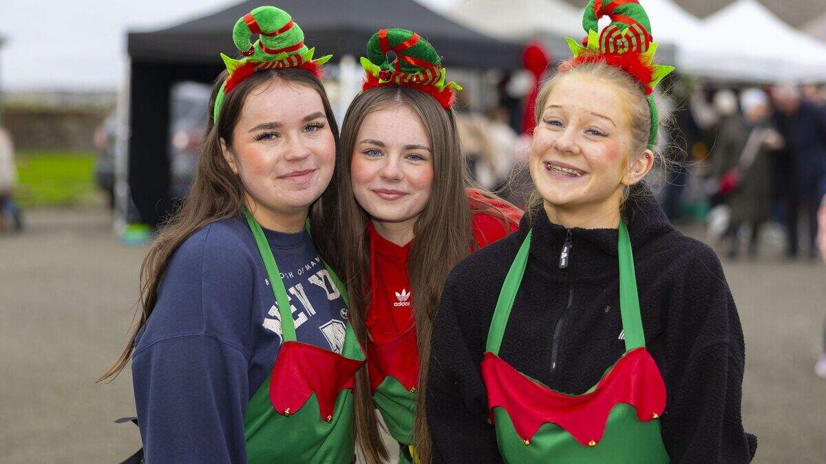 See pictures from the Duncannon Christmas festival | Irish Independent