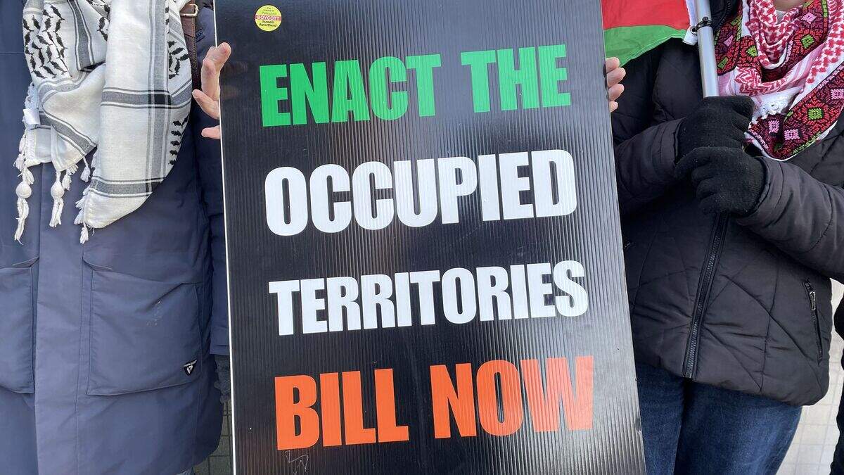 Oireachtas Committee to recommend Government include services in ...
