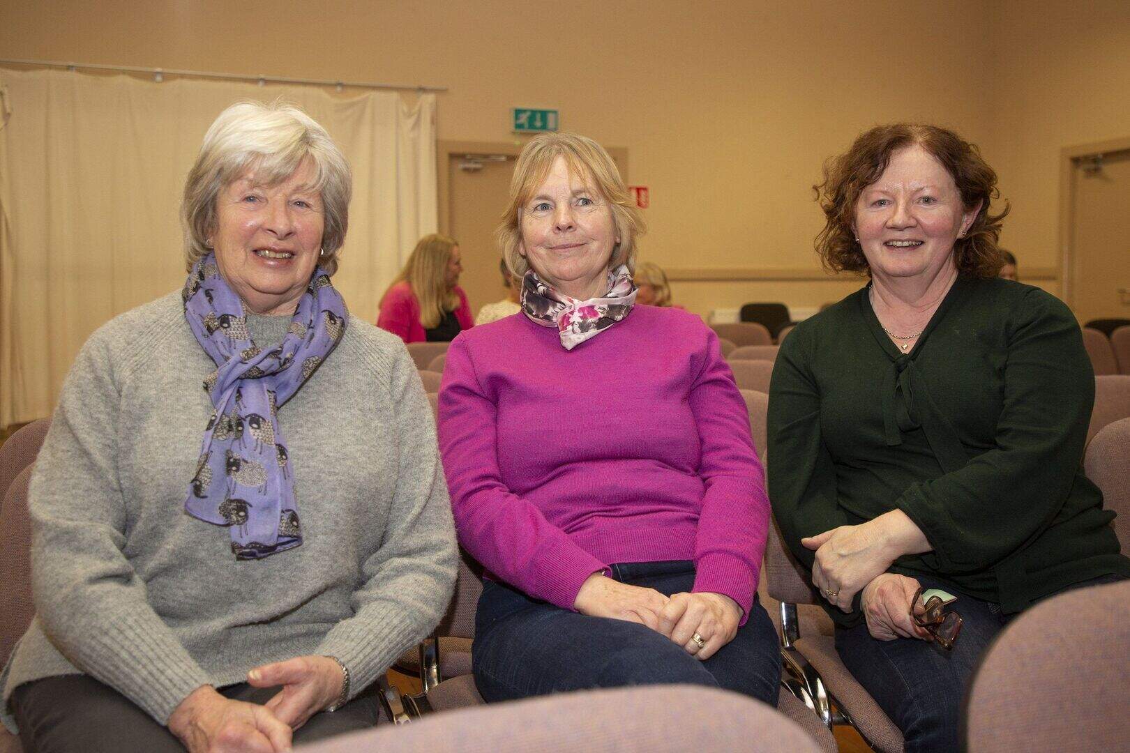 Winners of 68th Wicklow ICA Federation Drama Festival announced | Irish ...