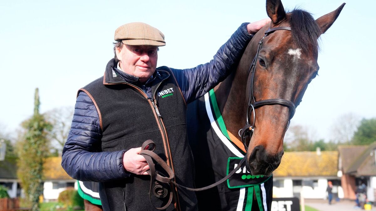 Nicky Henderson says Constitution Hill’s Kempton run ‘will determine ...