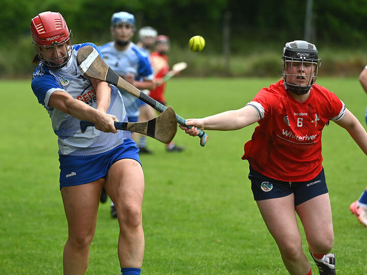 Louth Camogie manager Padraic Murphy disappointed with performance ...