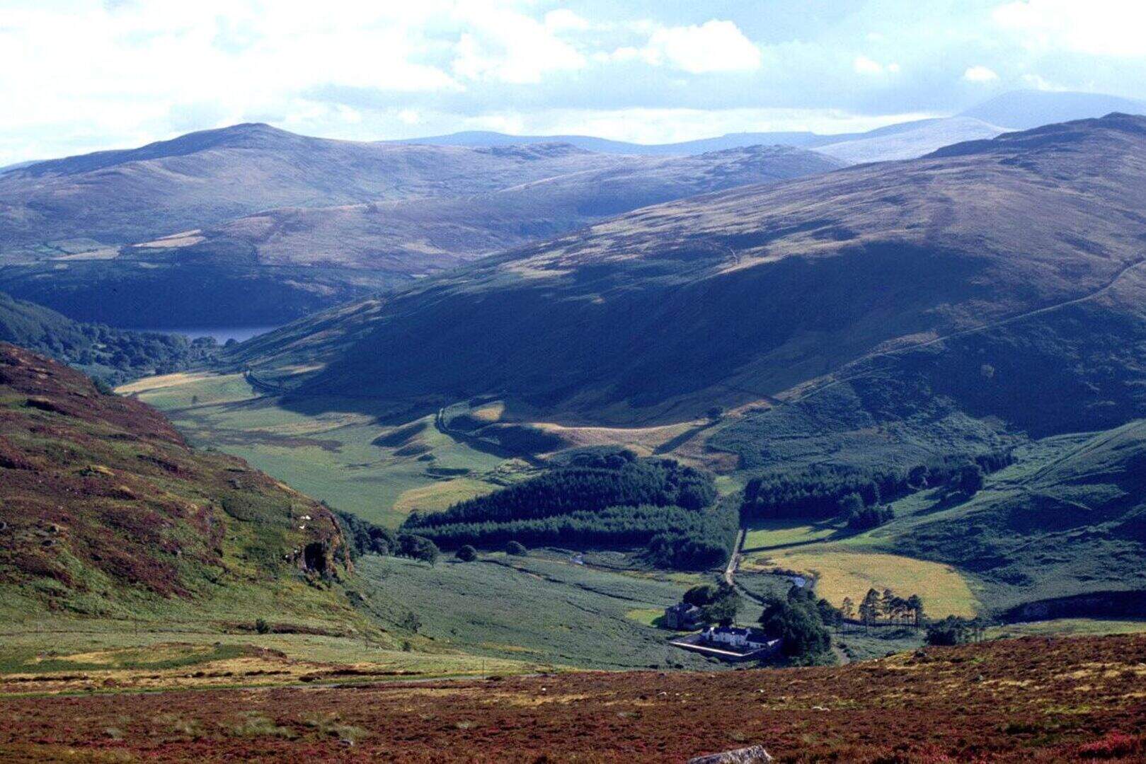 Quad bikers in Dublin Mountains branded ‘reckless’ for breaking 2km ...