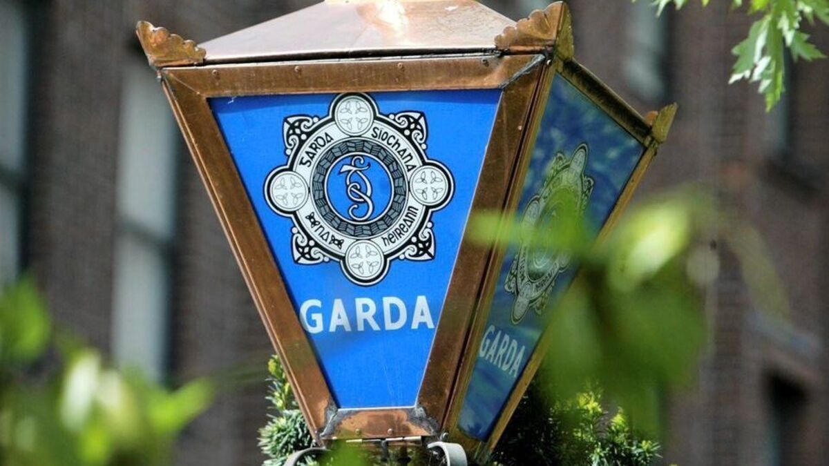 ‘This system is outdated and inefficient’ – calls for overhaul of Garda ...