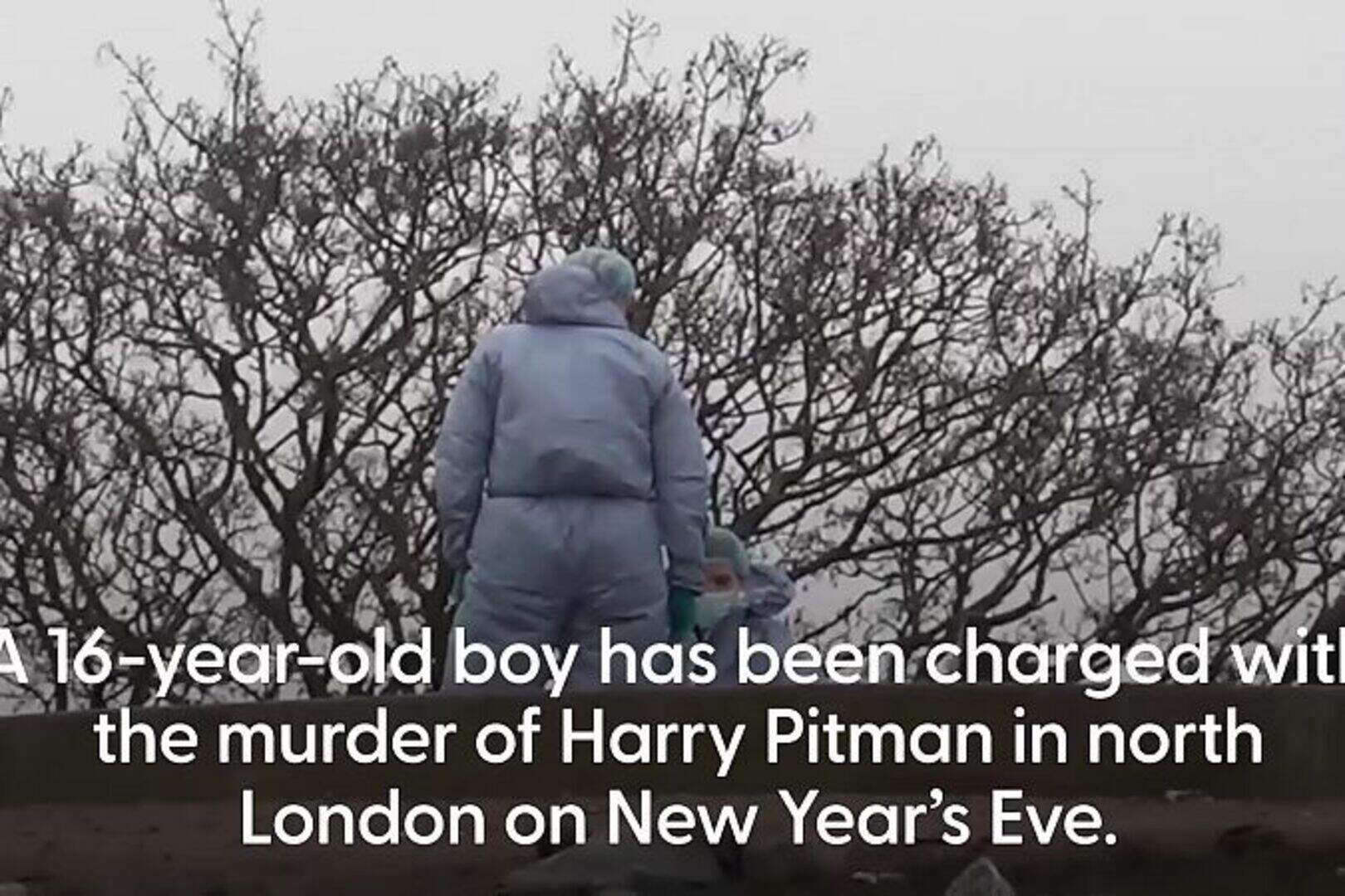 16-year-old youth charged with murder of Harry Pitman | Irish Independent