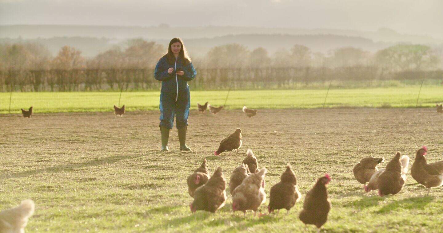 App-y animals: Farmers use smartphones to keep track of livestock ...