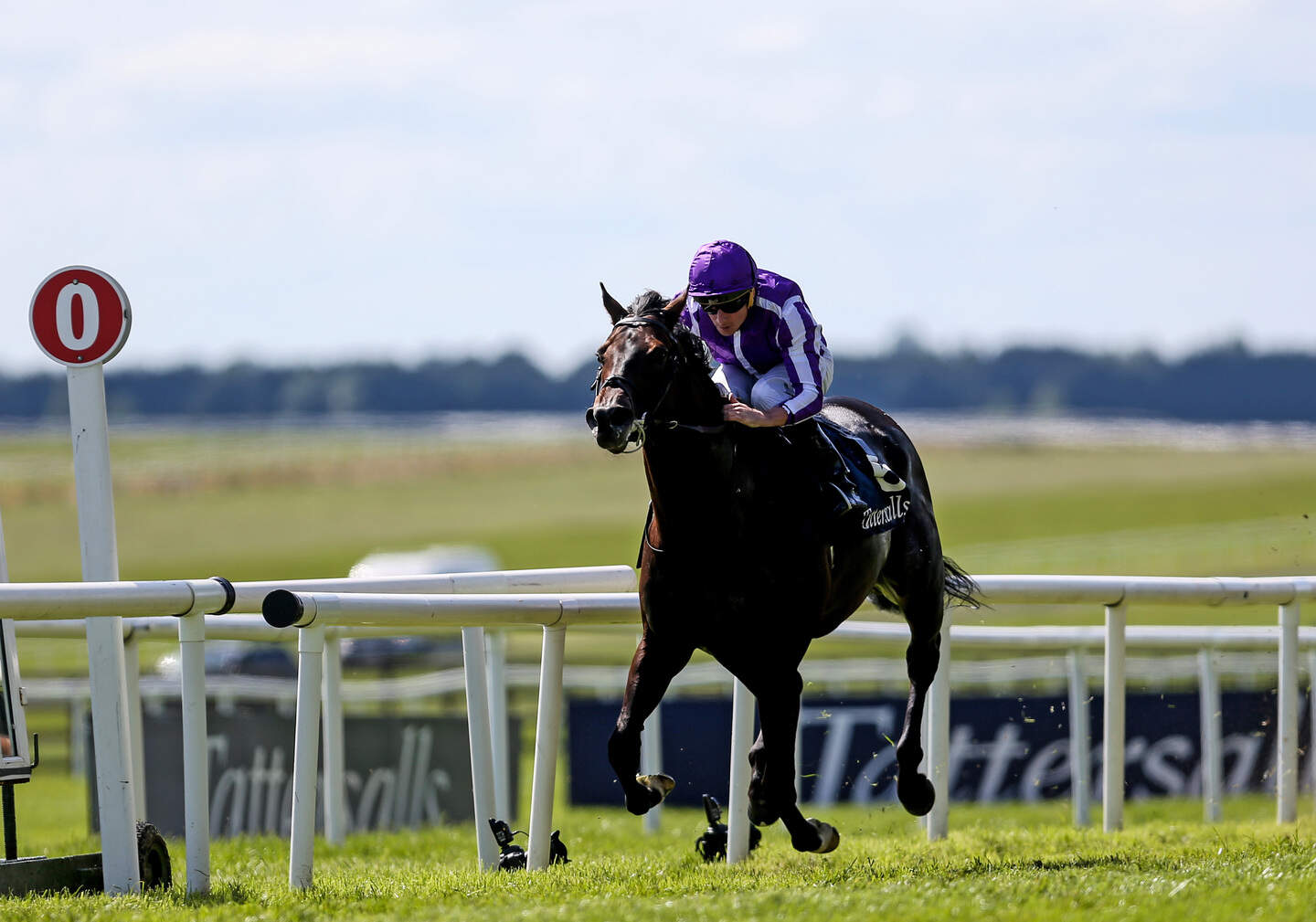 Bow Echo team gunning to take on Aidan O’Brien’s Gstaad at Royal Ascot ...