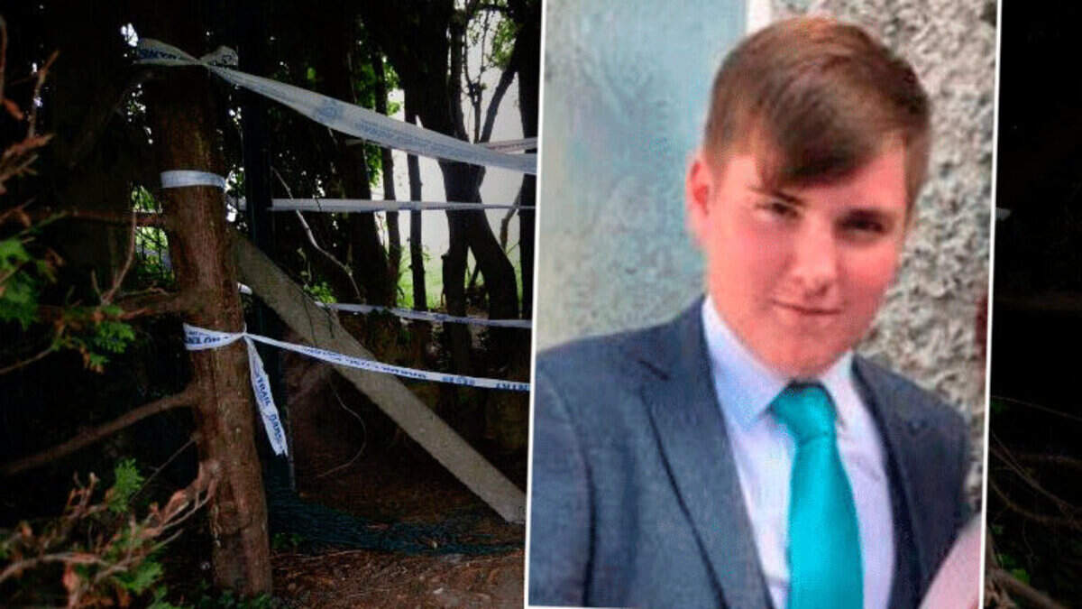 Gardaí investigating if Cameron Reilly (18) 'lured to his death with ...