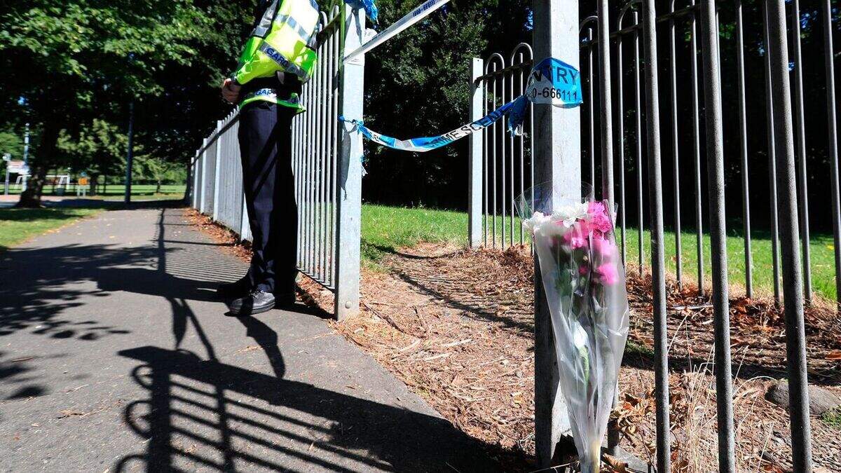 'Predator' wanted by gardai for suspected murder of Dublin woman, 'fled ...