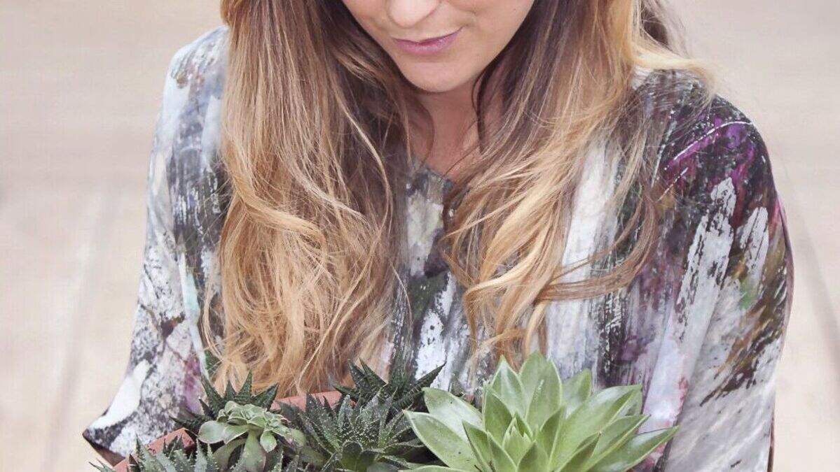 Inspired planting with Leonie Cornelius: Echeveria | Irish Independent