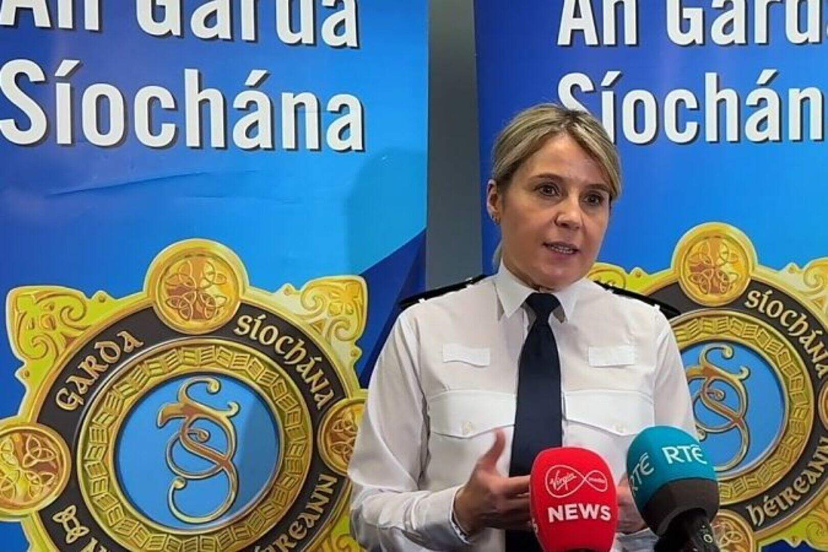 Leixlip arson attack was second fire at same vacant property in recent ...