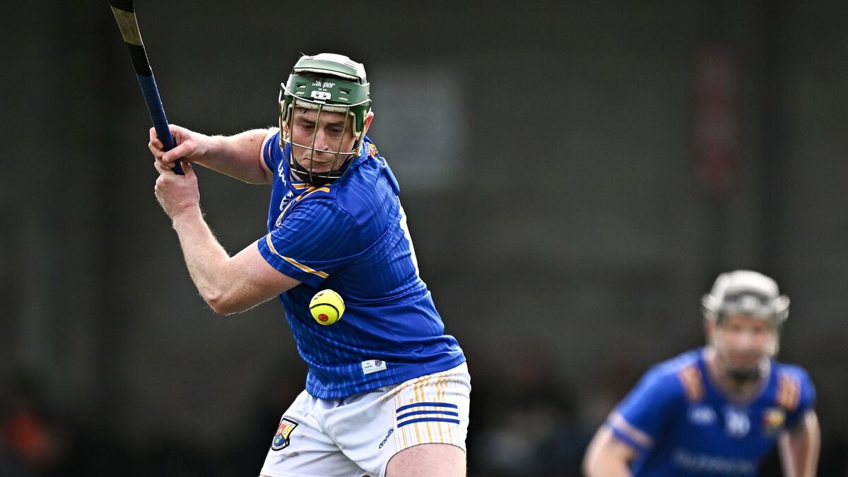 Longford hold see off Monaghan and secure Lory Meagher final spot ...