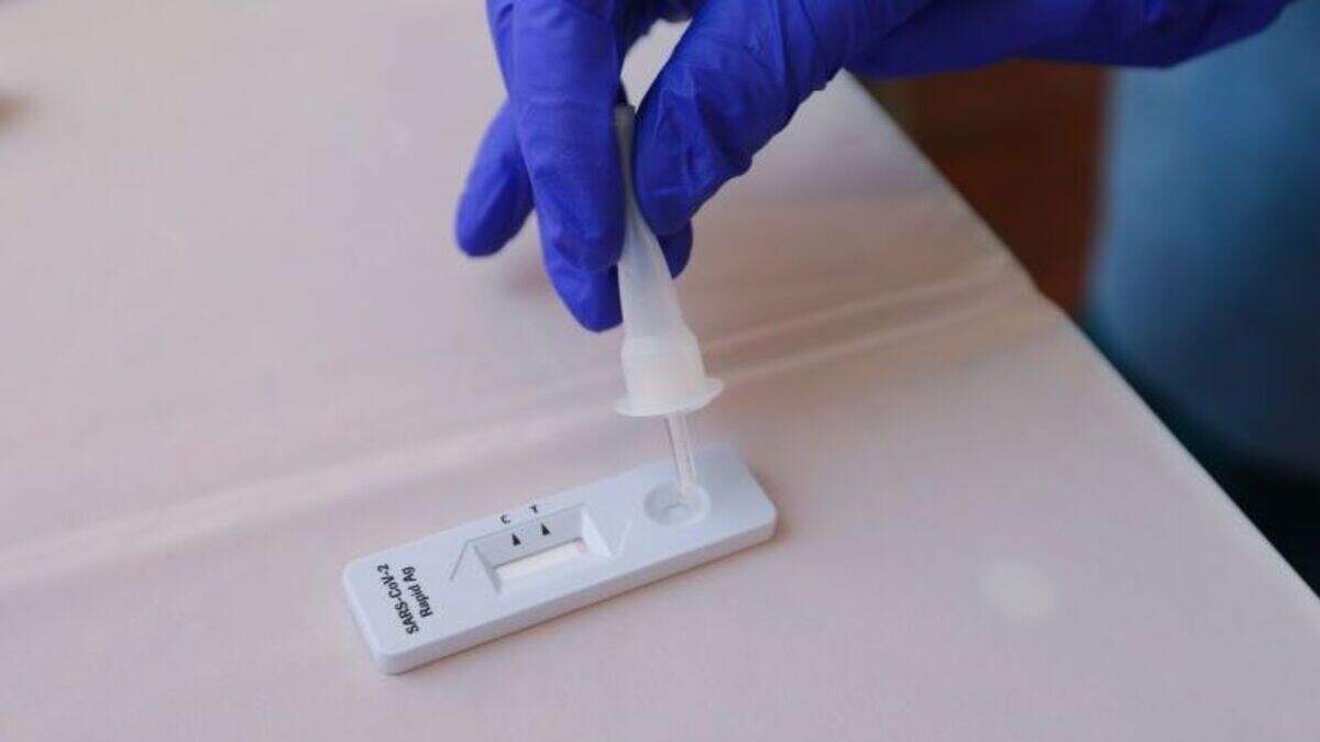 Antigen tests going for €20 on resale websites as shops and pharmacies ...