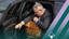 Jeffrey Donaldson: The secret recordings, letters of 'repent' and ...