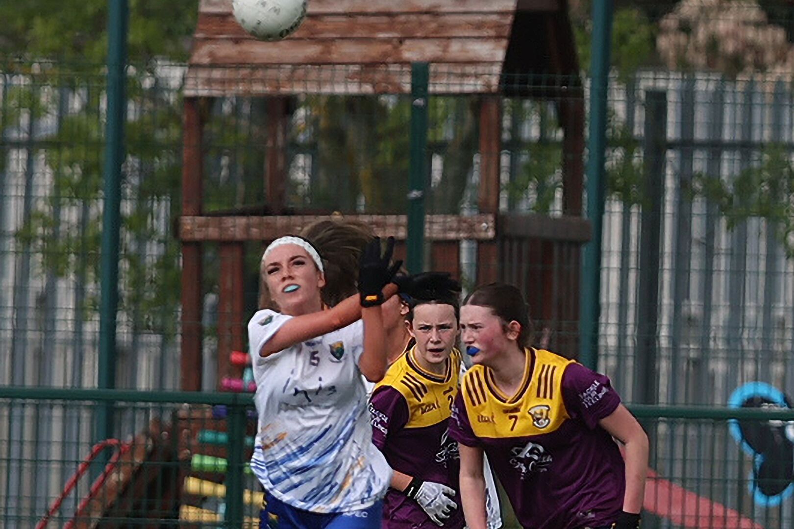 Impressive Wicklow fulfil promise as they blitz Wexford in Leinster ...