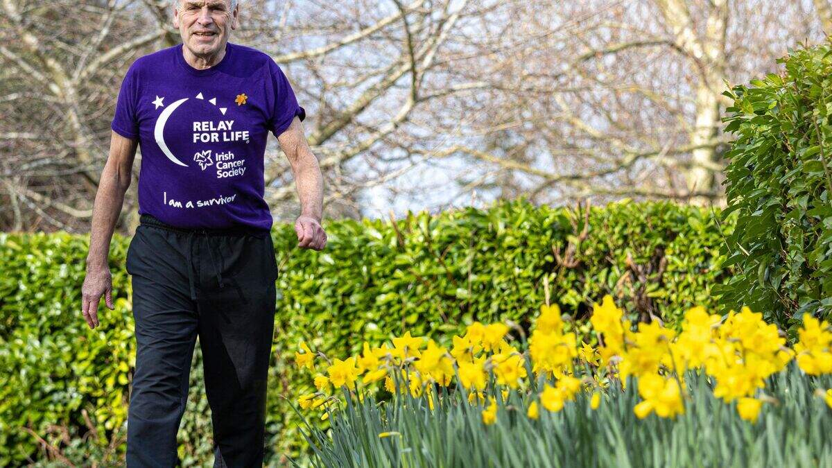 Irish Cancer Society seeking additional volunteer drivers in Dublin ...