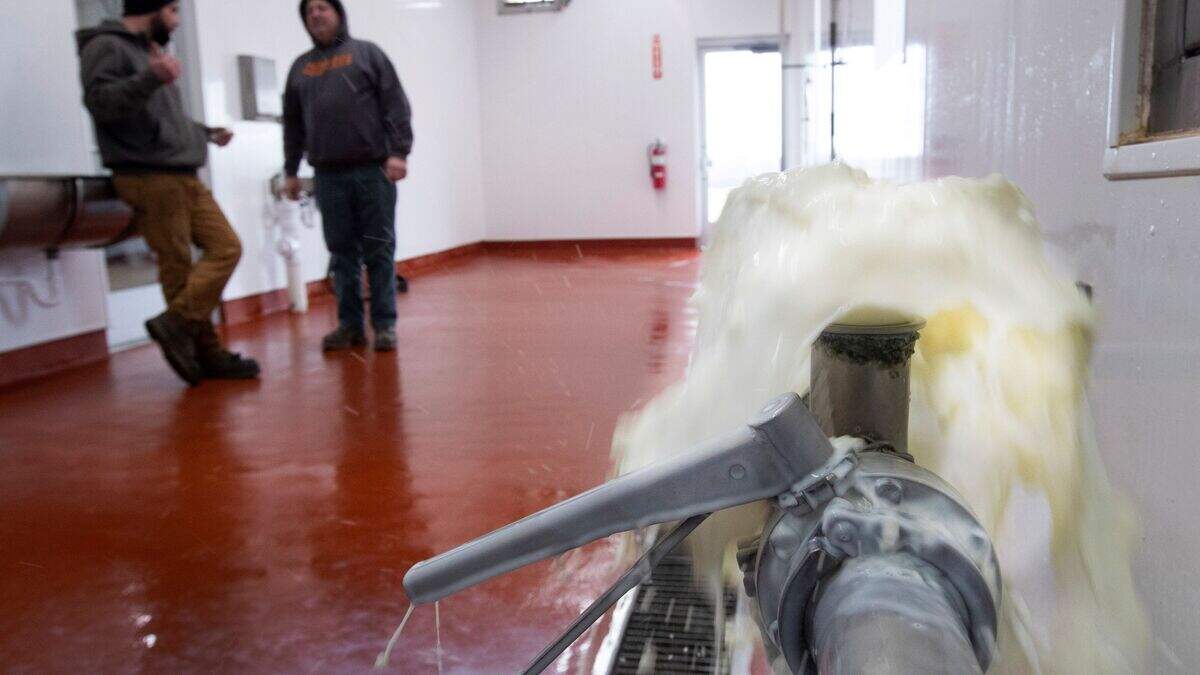 US dairy farmers dump milk as pandemic upends food markets | Irish ...