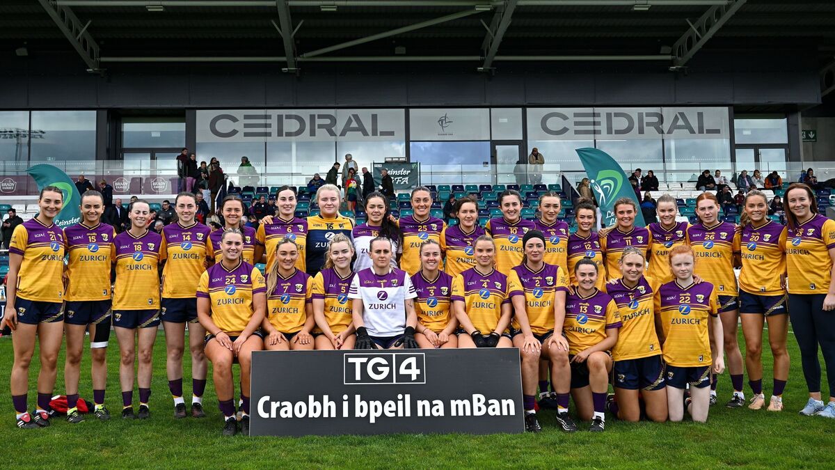 Wexford undone by quality Westmeath attack in Leinster Intermediate ...