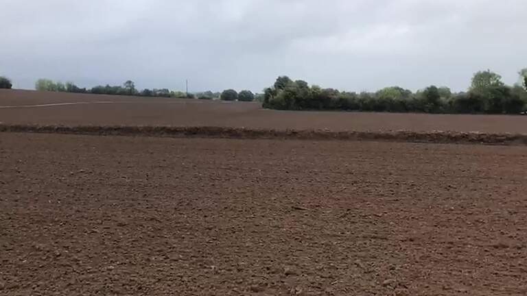 Coolmore company pleads guilty over the destruction of 1km of historic ...