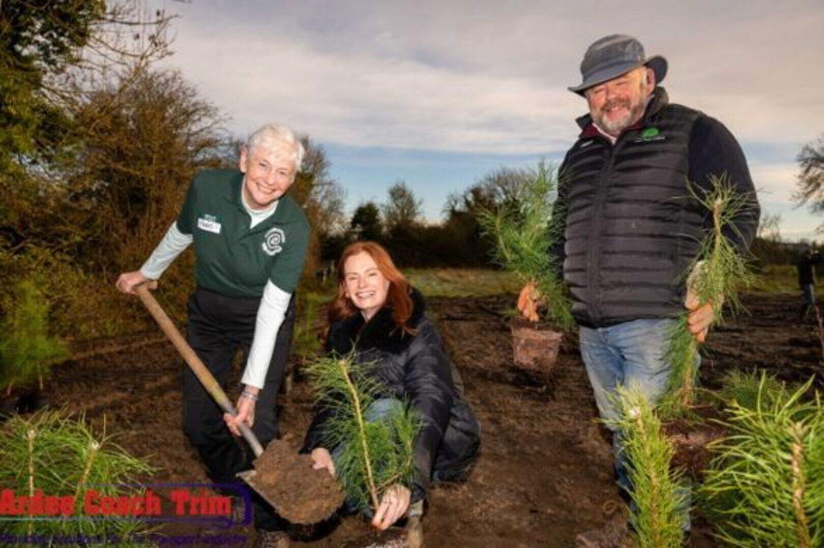 From coachbuilding to a nature reserve Ardee woman, Anne Lennon tells ...