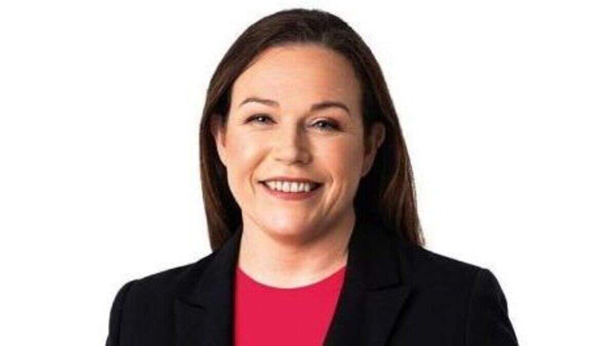 Go-Ahead bus service in Fingal ‘nothing short of disgraceful’ – O ...